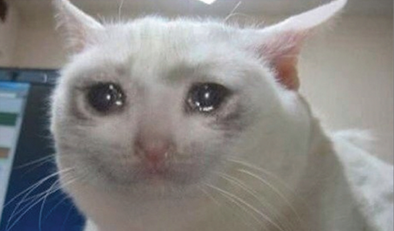 simon max hill | casting: film / tv / commercial / print